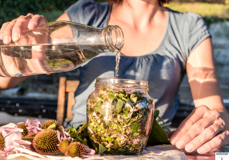 Herstellung unserer Kräutertinkturen | Hier mehr erfahren